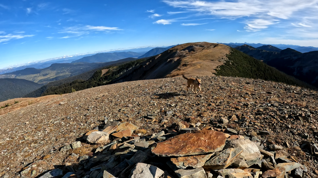 Raven Lake in Sugarbowl/GrizzlyDen Provincial Park BC – Outdoor ...