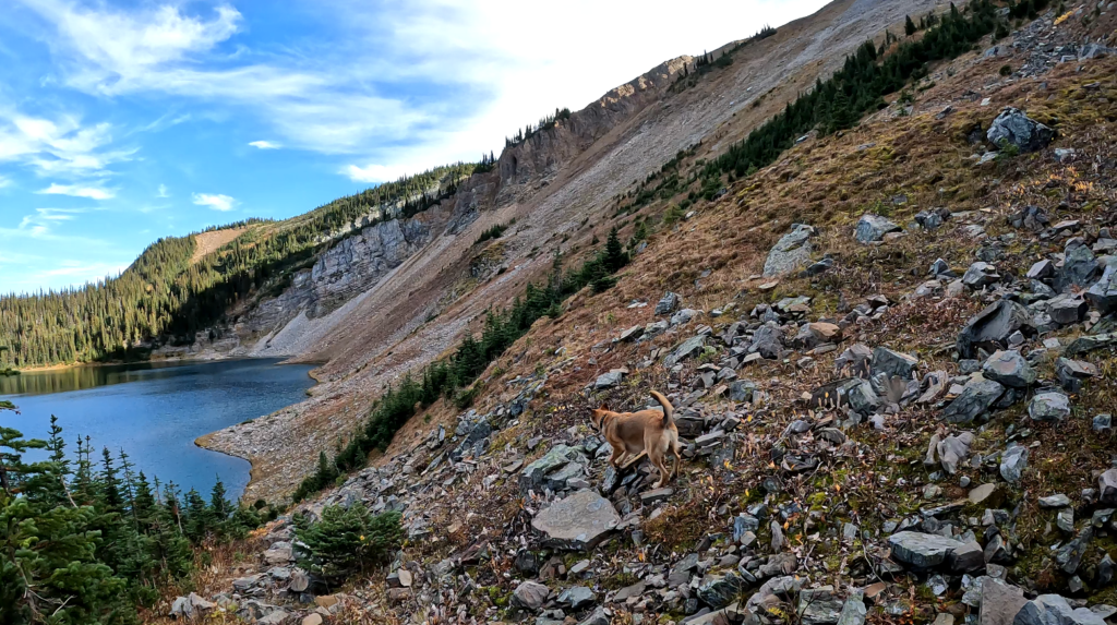 Raven Lake in Sugarbowl/GrizzlyDen Provincial Park BC – Outdoor ...
