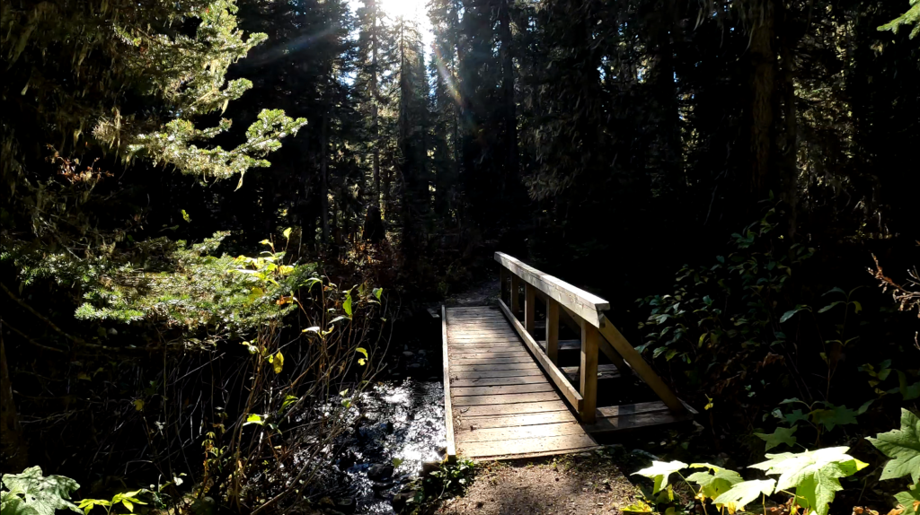 Raven Lake in Sugarbowl/GrizzlyDen Provincial Park BC – Outdoor ...