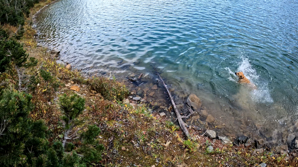 Raven Lake in Sugarbowl/GrizzlyDen Provincial Park BC – Outdoor ...