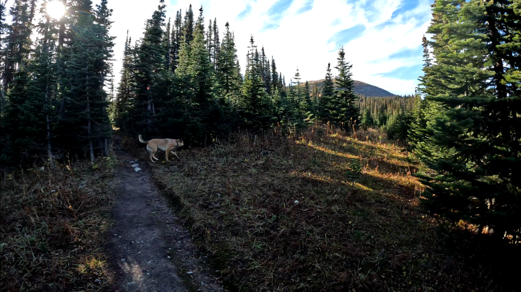 Raven Lake in Sugarbowl/GrizzlyDen Provincial Park BC – Outdoor ...