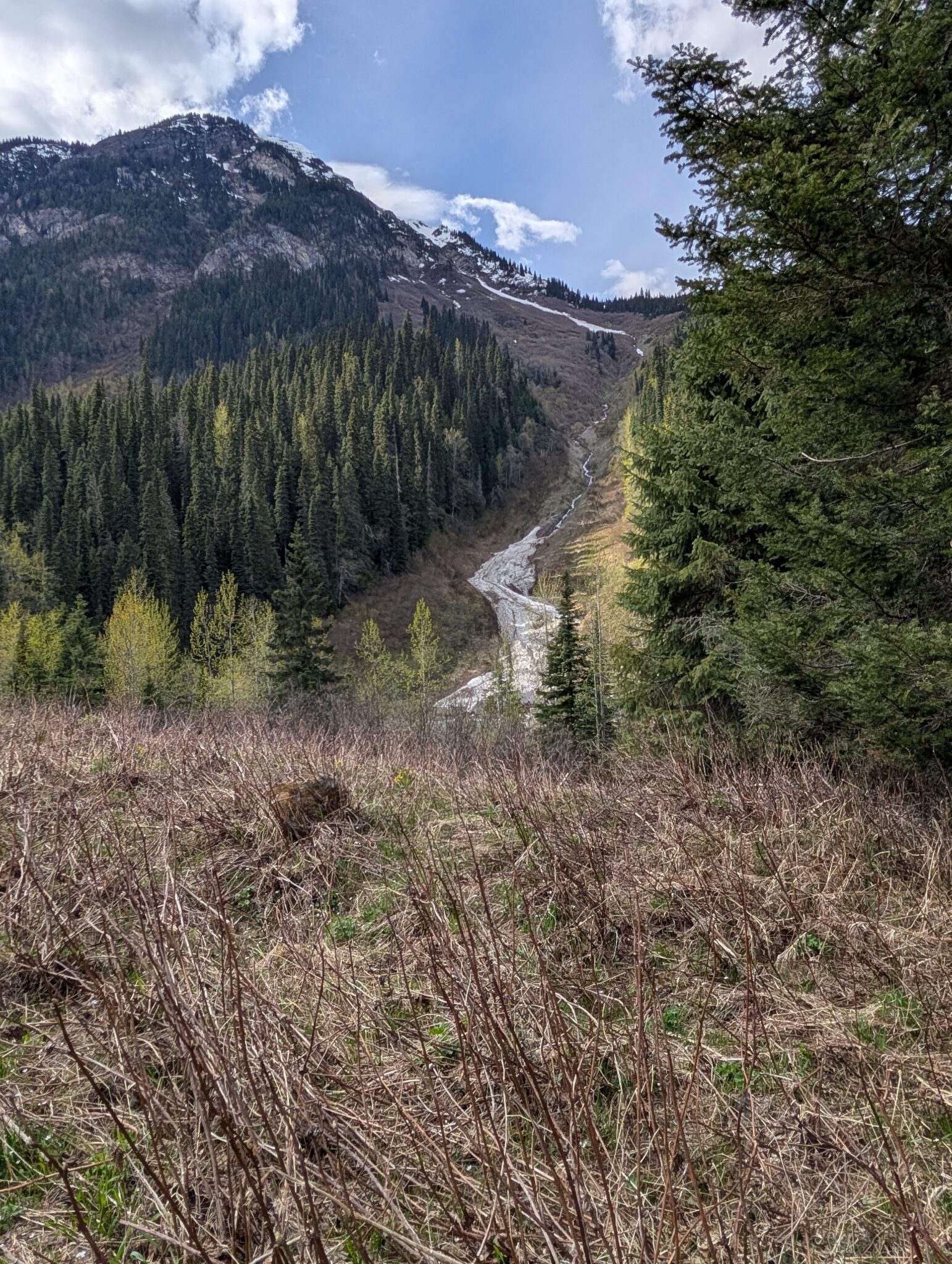 Goat River Trail in Northern BC - Outdoor Adventures around Prince ...