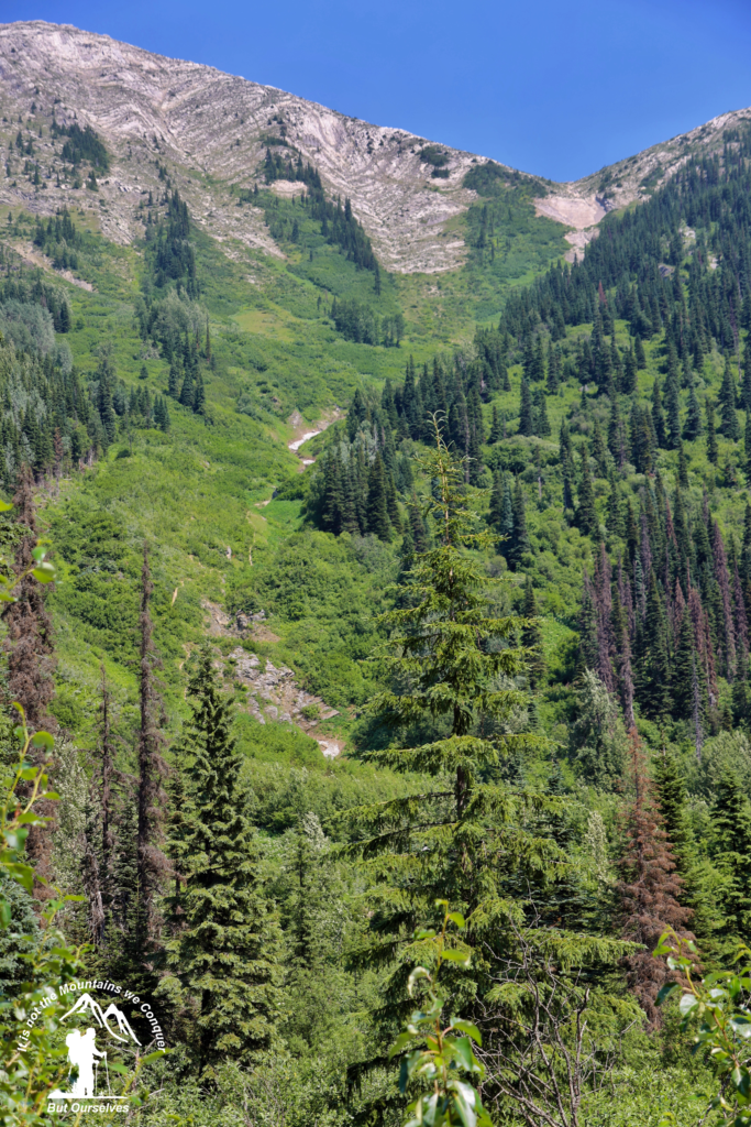 Murray Range in the Pine Pass in Northern BC – Outdoor Adventures ...