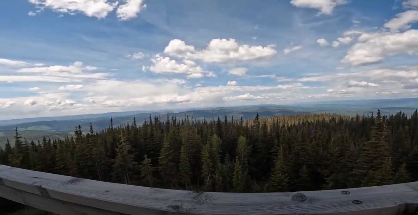 Tacheeda Fire Lookout Trail – Outdoor Adventures around Prince George ...