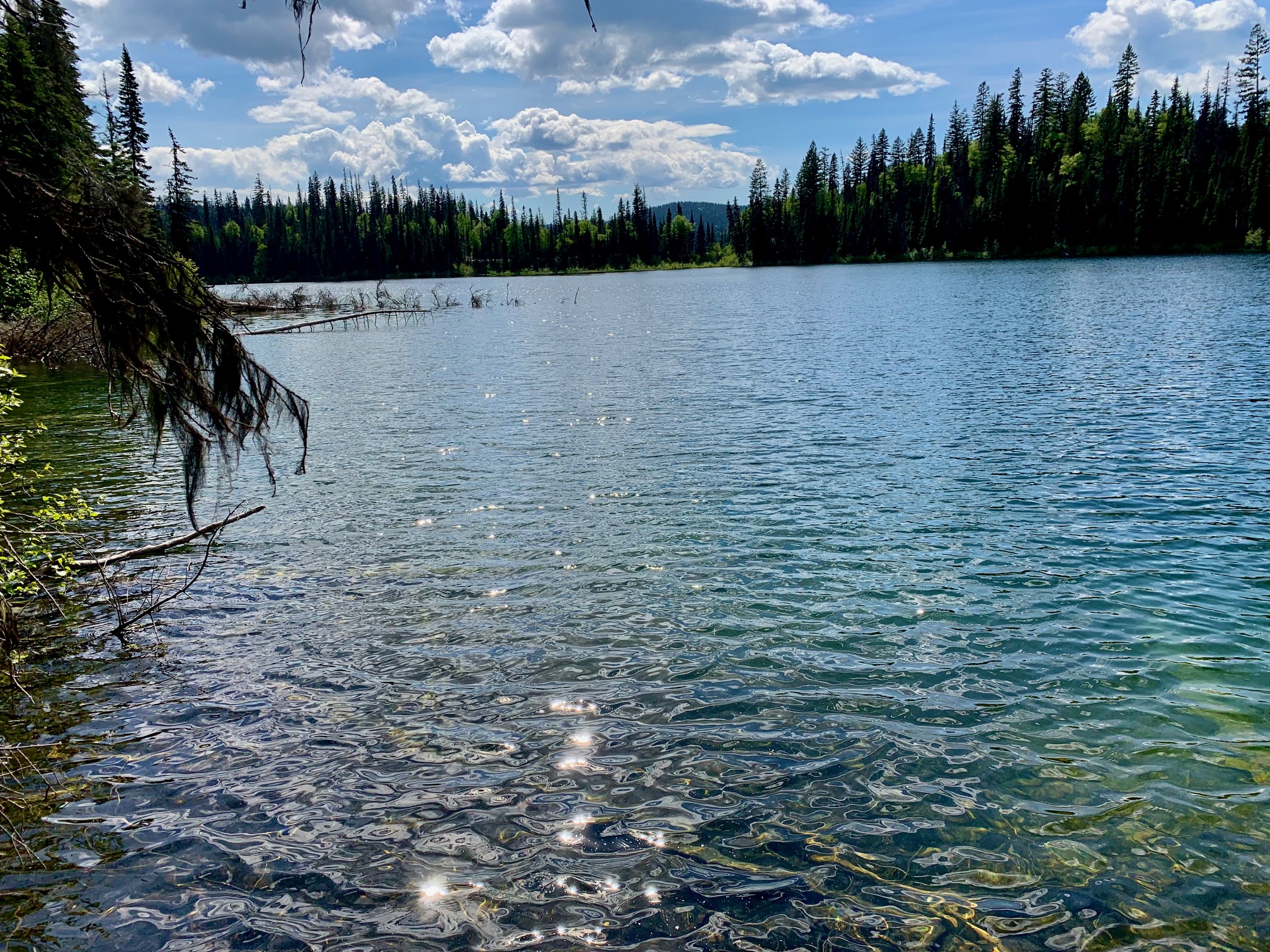 Tacheeda Fire Lookout Trail – Outdoor Adventures around Prince George ...