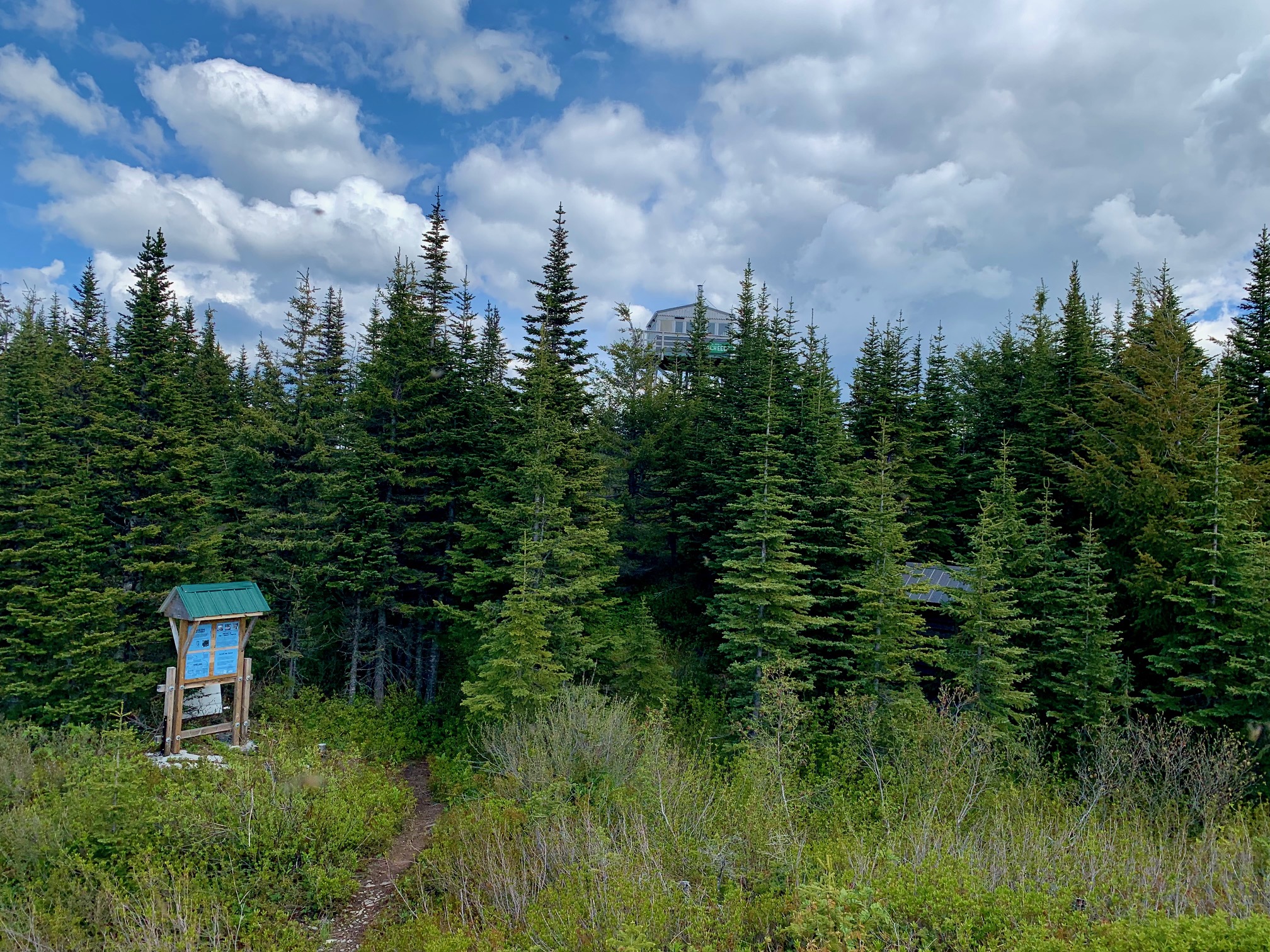 Tacheeda Fire Lookout Trail – Outdoor Adventures around Prince George ...