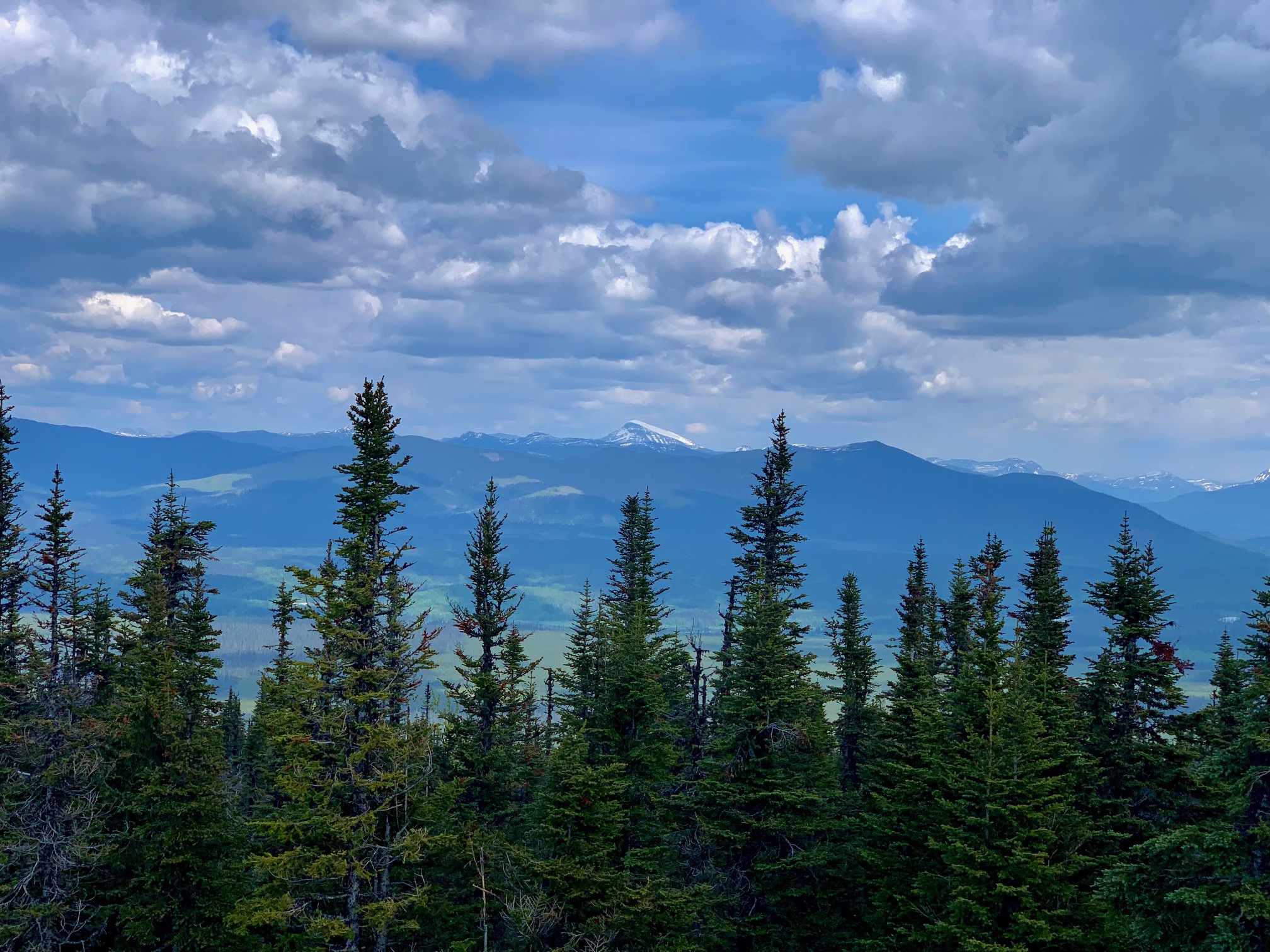 Tacheeda Fire Lookout Trail – Outdoor Adventures around Prince George ...