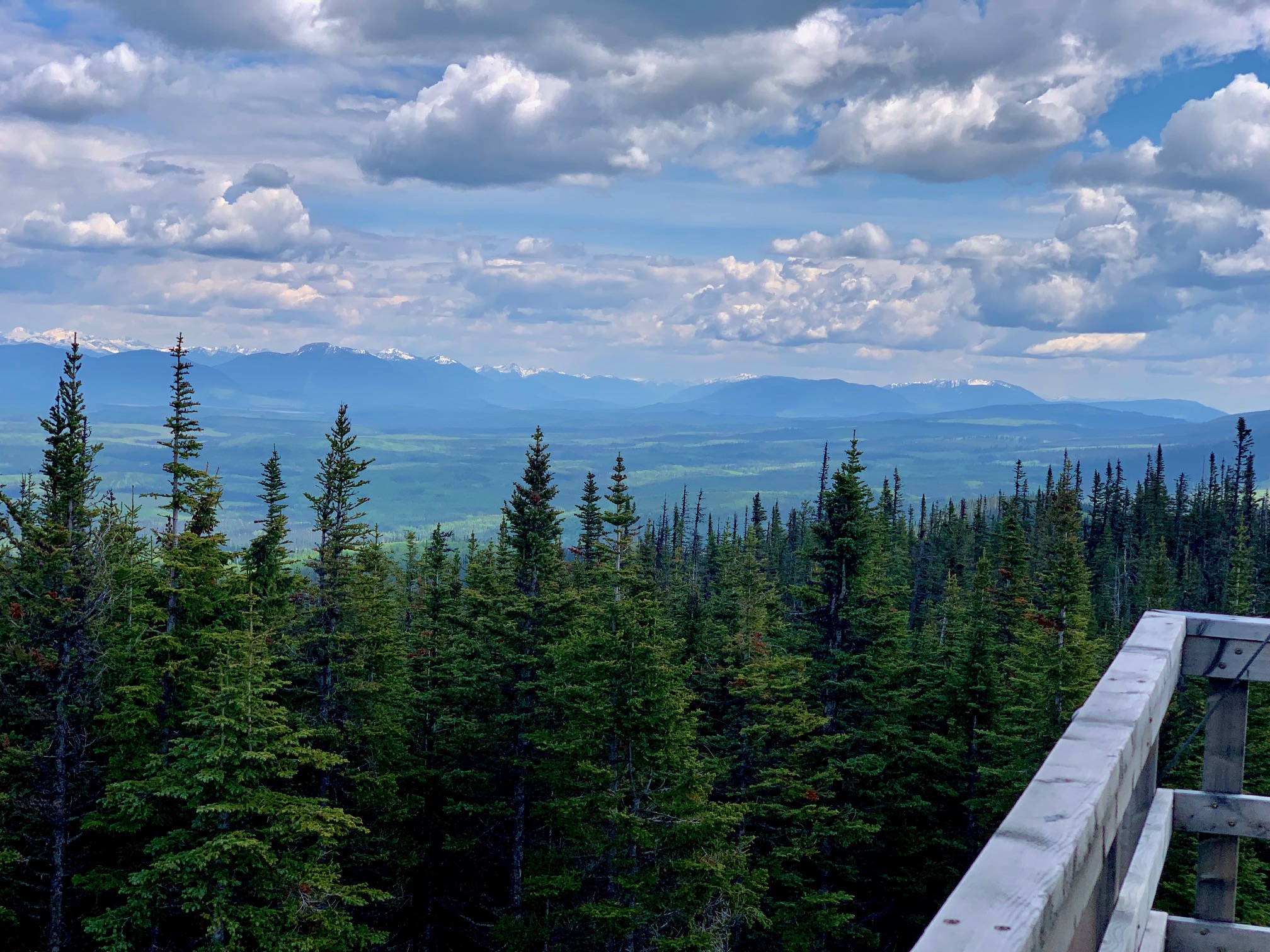 Tacheeda Fire Lookout Trail – Outdoor Adventures around Prince George ...