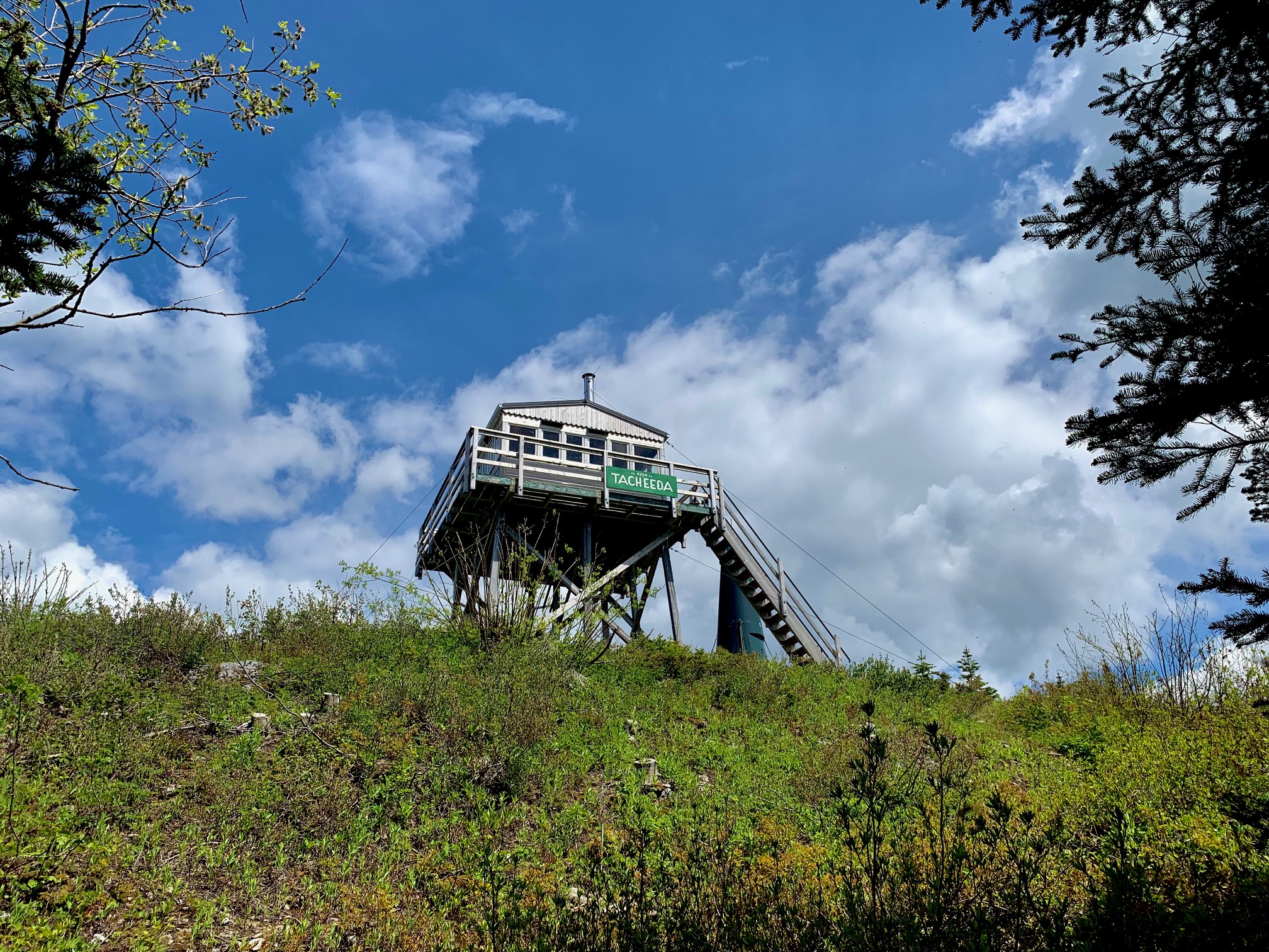 Tacheeda Fire Lookout Trail – Outdoor Adventures around Prince George ...