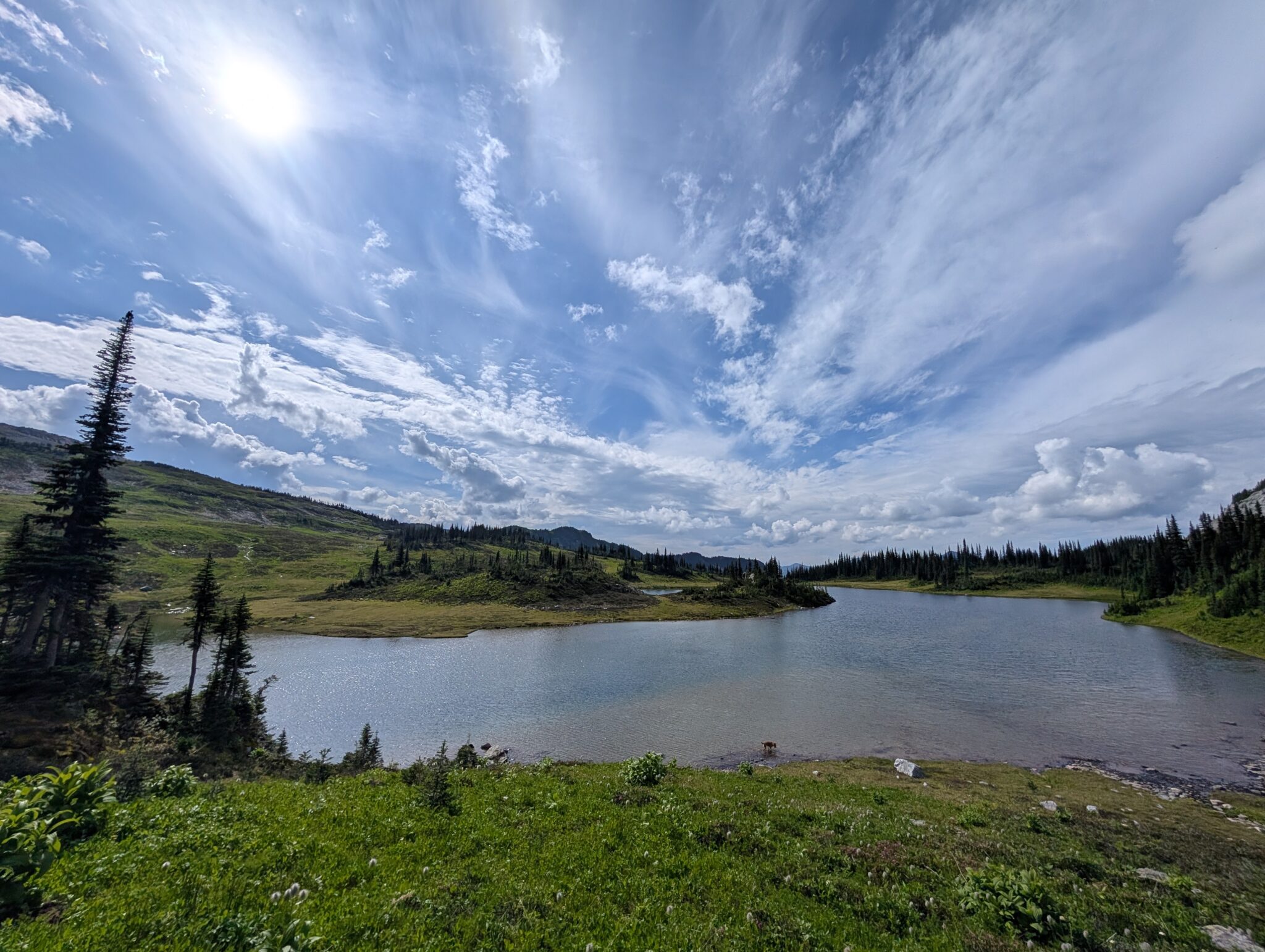 Torpy Trail to Fang Mt crossover Hike in Evanoff Provincial Park ...